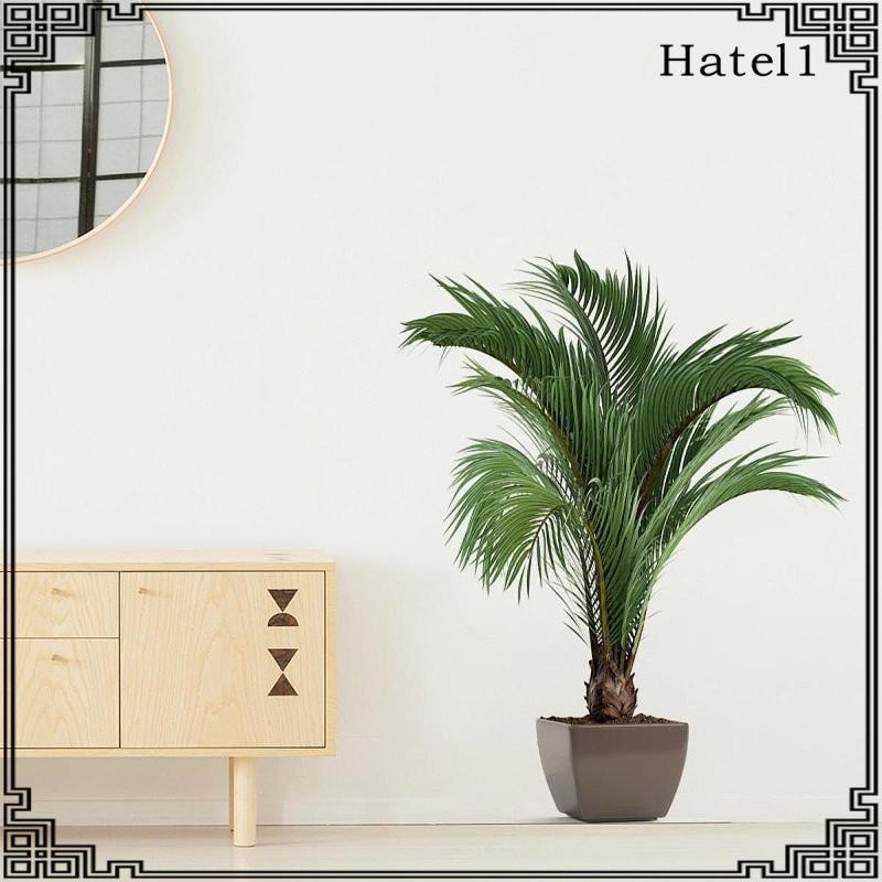 [Hatel] พืชพฤกษศาสตร์สติ๊กเกอร์ติดผนังตู้หนังสือเครื่องประดับสติ๊กเกอร์ ...