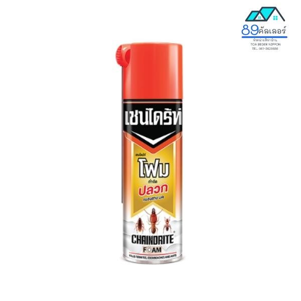 Chaindrite FOAM เชนไดร้ท์ โฟม 250g | Shopee Thailand