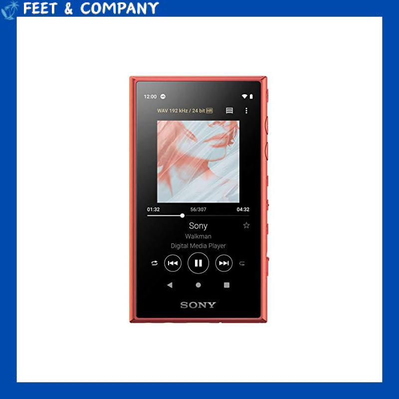 Sony Walkman 16GB A Series NW-A105: High-Resolution Compatible / MP3 ...