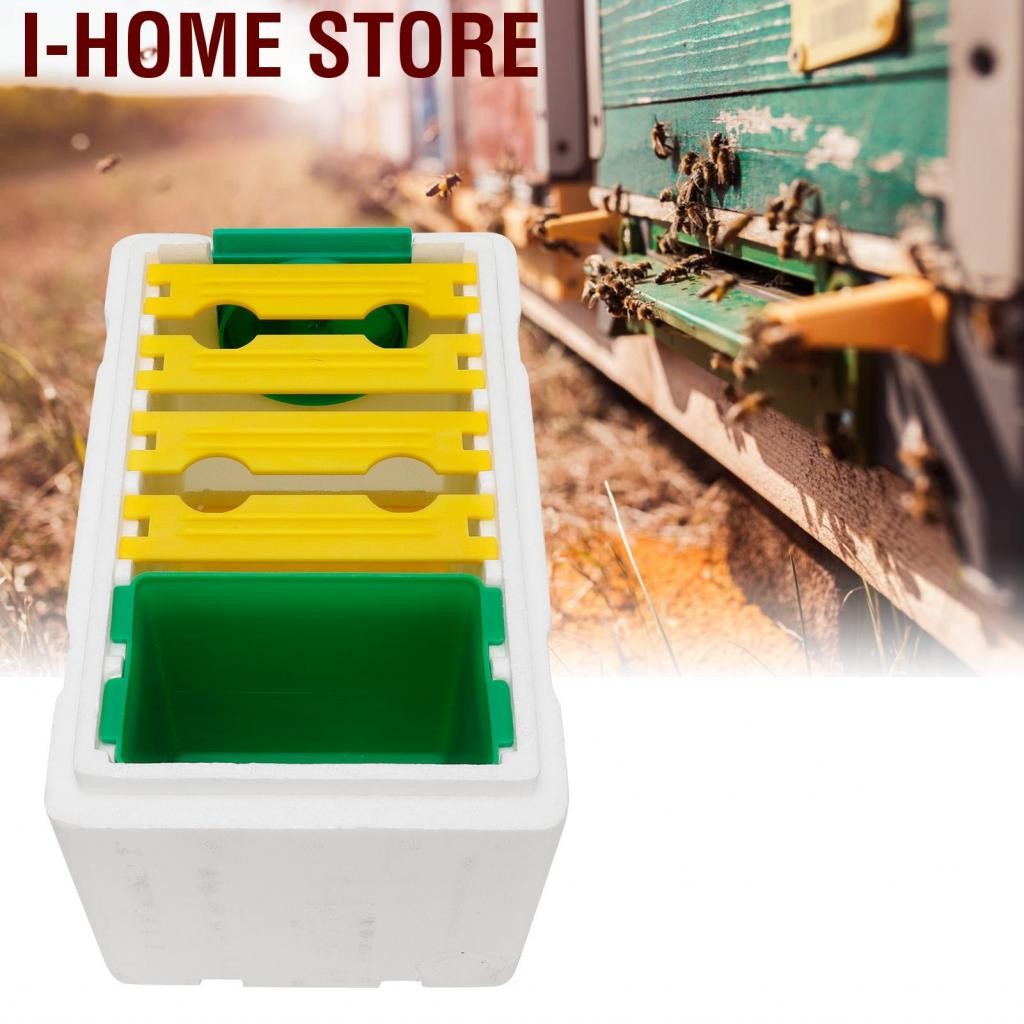 I-Home Store ราชินีผึ้งผสมพันธุ์กล่องโฟมผสมเกสรเฟรมการเลี้ยงผึ้ง HD ...