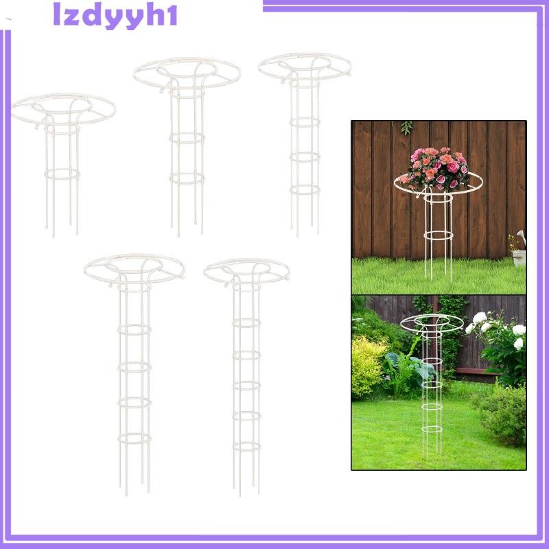 [JoyDIY] Garden Obelisk Trellis Roses Vines Flower Stand Plant รองรับ ...
