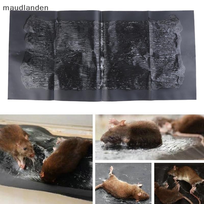 Ma 60CM Mouse Board Sticky Rat กาว Strongly Mouse Board Sticky Rat กาว ...
