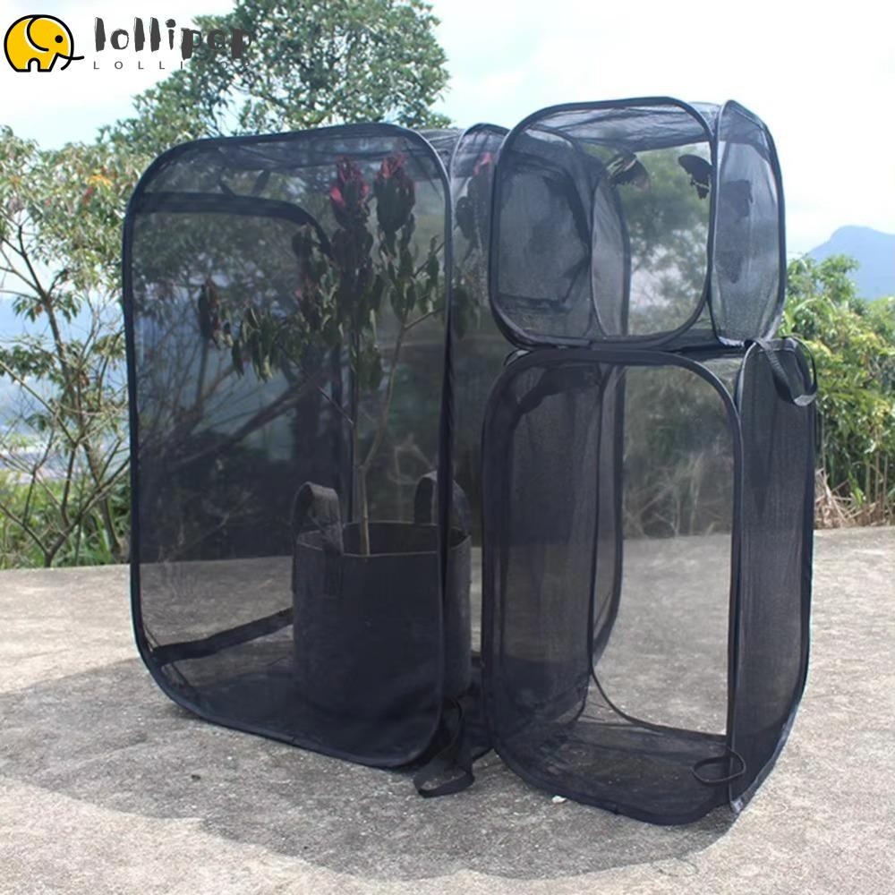 Lollipo1 ผีเสื้อ Habitat, กรงแมลงสีดํากลางแจ้ง, กรงตาข่ายทนทาน, กล่องเรือนกระจกพืชป๊อปอัพในทาง ...