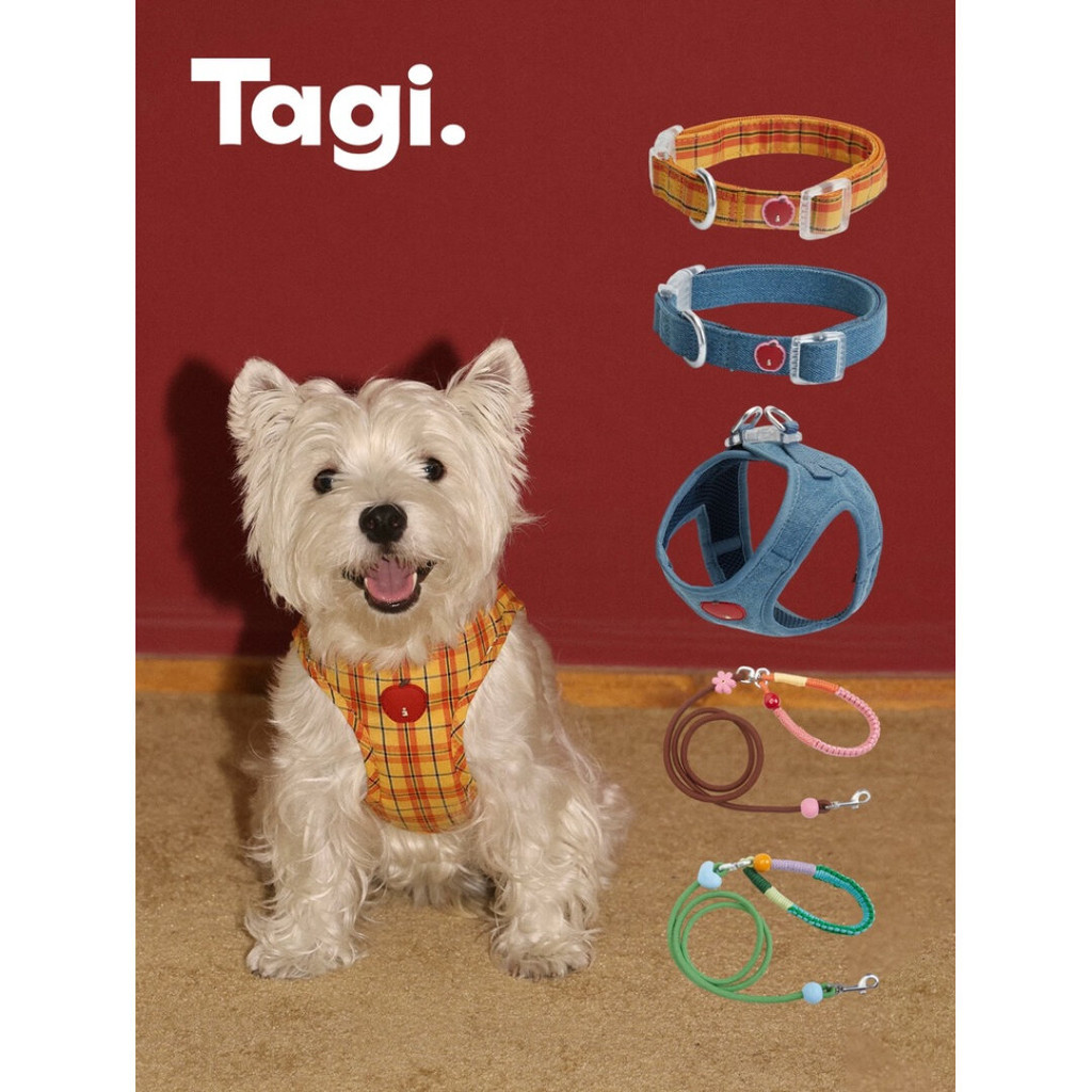 Tagi. Apple Pet Collar and Harness Signal Heart Pet Leashes | Shopee ...