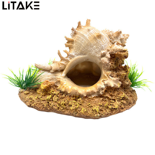 จัดส่ง 1 วัน! Aquarium Conch Shell เครื่องประดับ Rockery,ถังปลาขนาดเล็ก ...