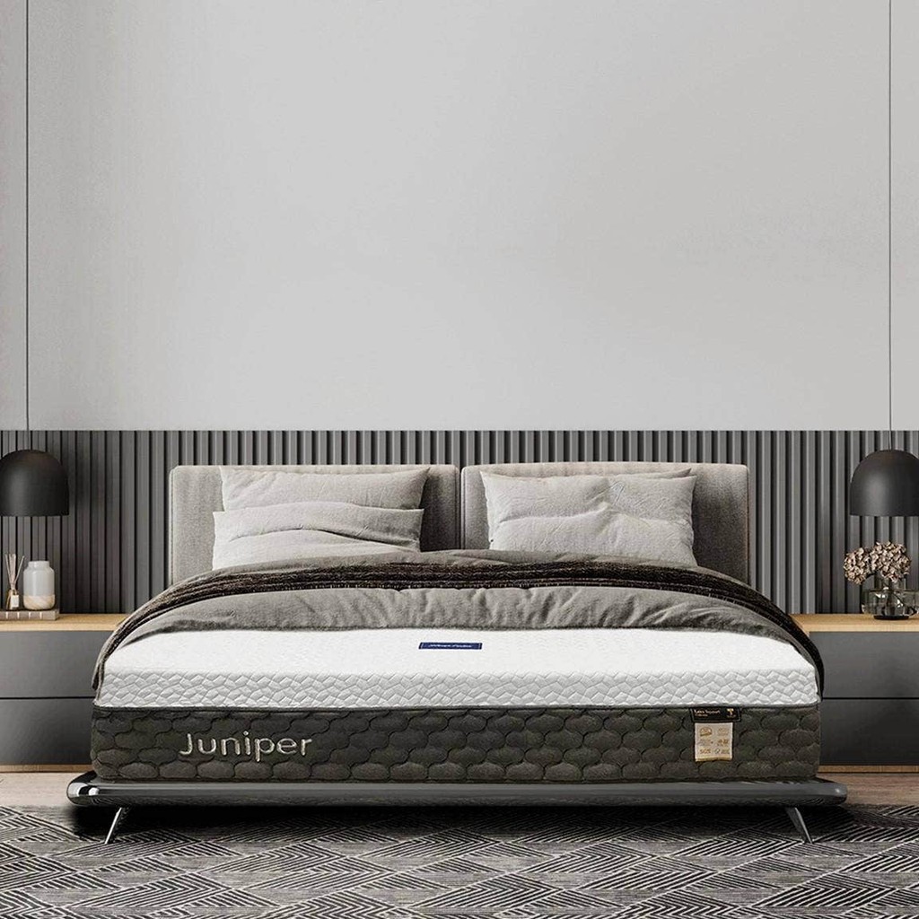 SB Design Square Sleep Latex ที่นอน รุ่น Juniper ( Pocket spring ...