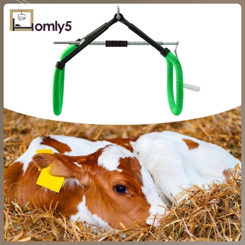 [Homyl5] Cow Hip Lift Ob Milking Birthing Standing Holder Frame อุปกรณ์ ...