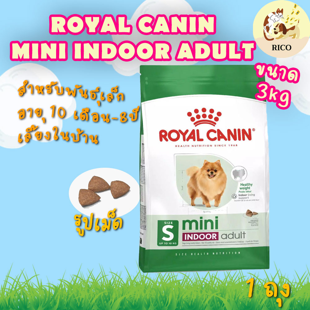 Royal Canin Mini Indoor Adult 3kg โรยัล คานิน สูตรสุนัขเลี้ยงในบ้าน 3 ...