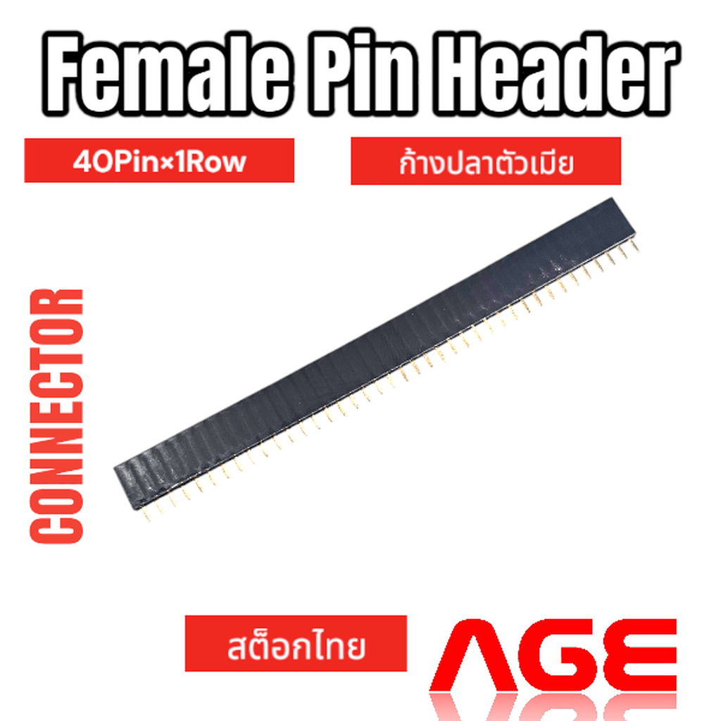 Female Pin Header Connector 40 Pin (40PinX1Row), Pitch 2.54mm Female ...
