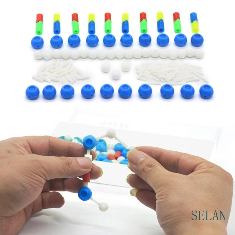 Sel DNA Double Helix Model DNA Helix Structure Models Biological ...
