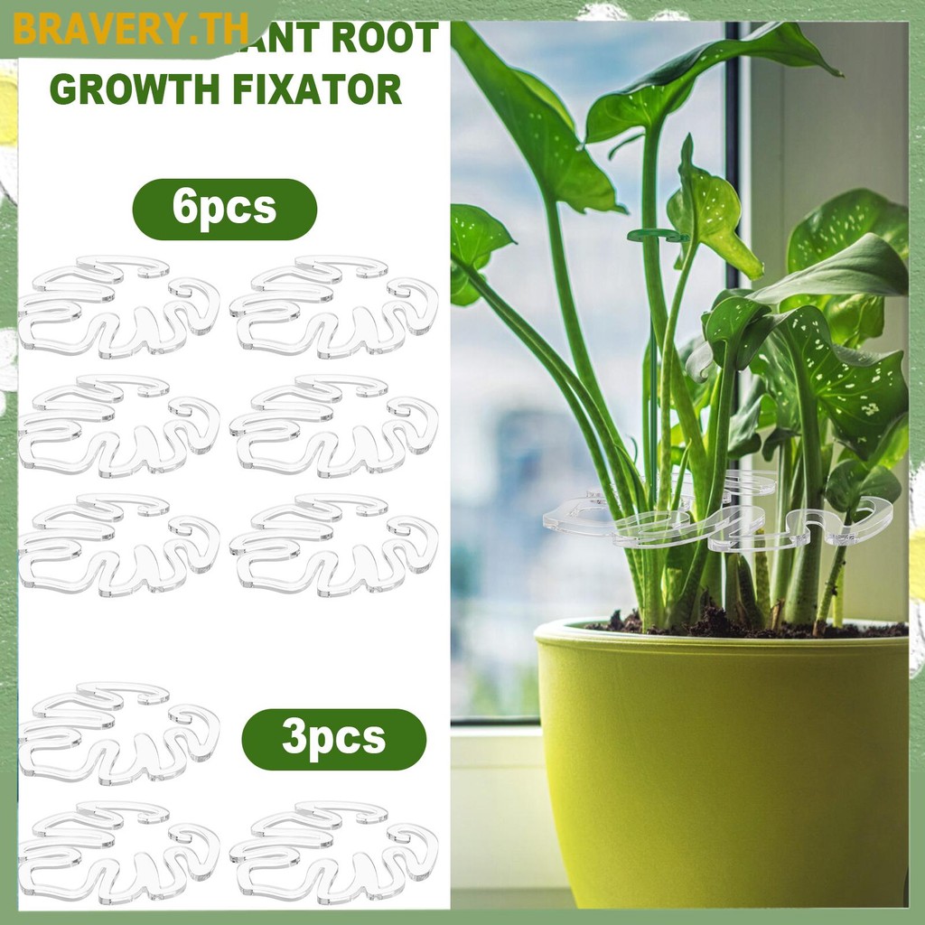 Monstera Grapple พลาสติก Monstera Vegetation รองรับ Enduring ที่ทนทาน ...