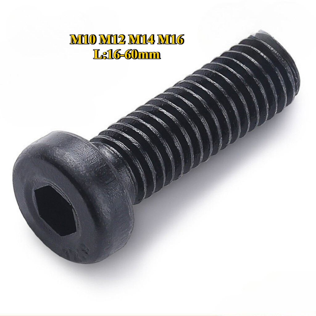 [BY-TH-w] M10/M12/M14/M16 Hexagon Socket Head Cap Screws Low Head / น็อตหัวจมบาง เหล็กกล้า ...