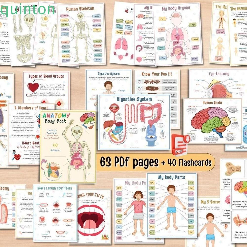 Quiton Human Anatomy Quiet Book, Montessori ของเล่น Interactive Human ...