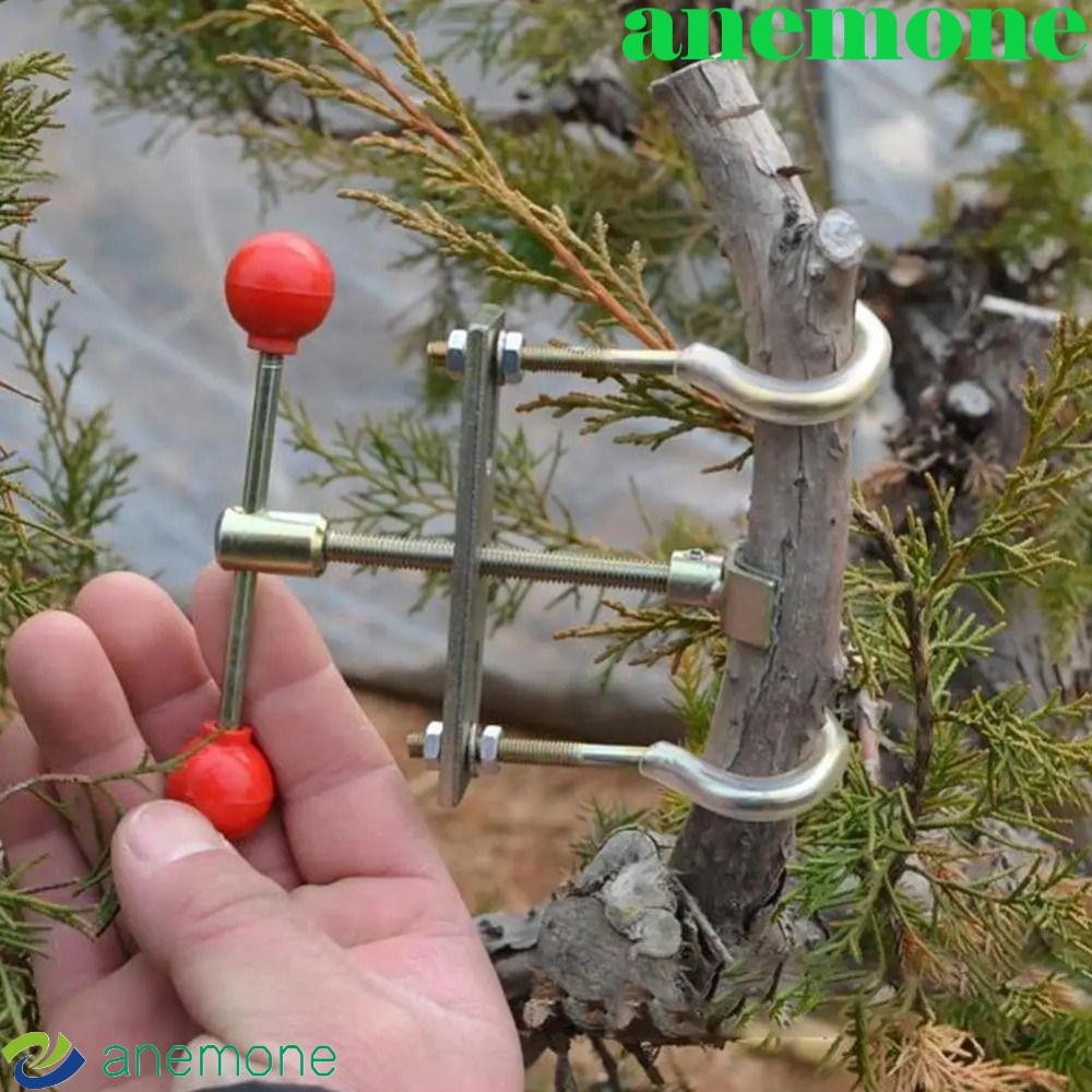 Anemone ชุดเครื่องมือ Bender สาขาบอนไซ, นํากลับมาใช้ใหม่ Exceptional ...