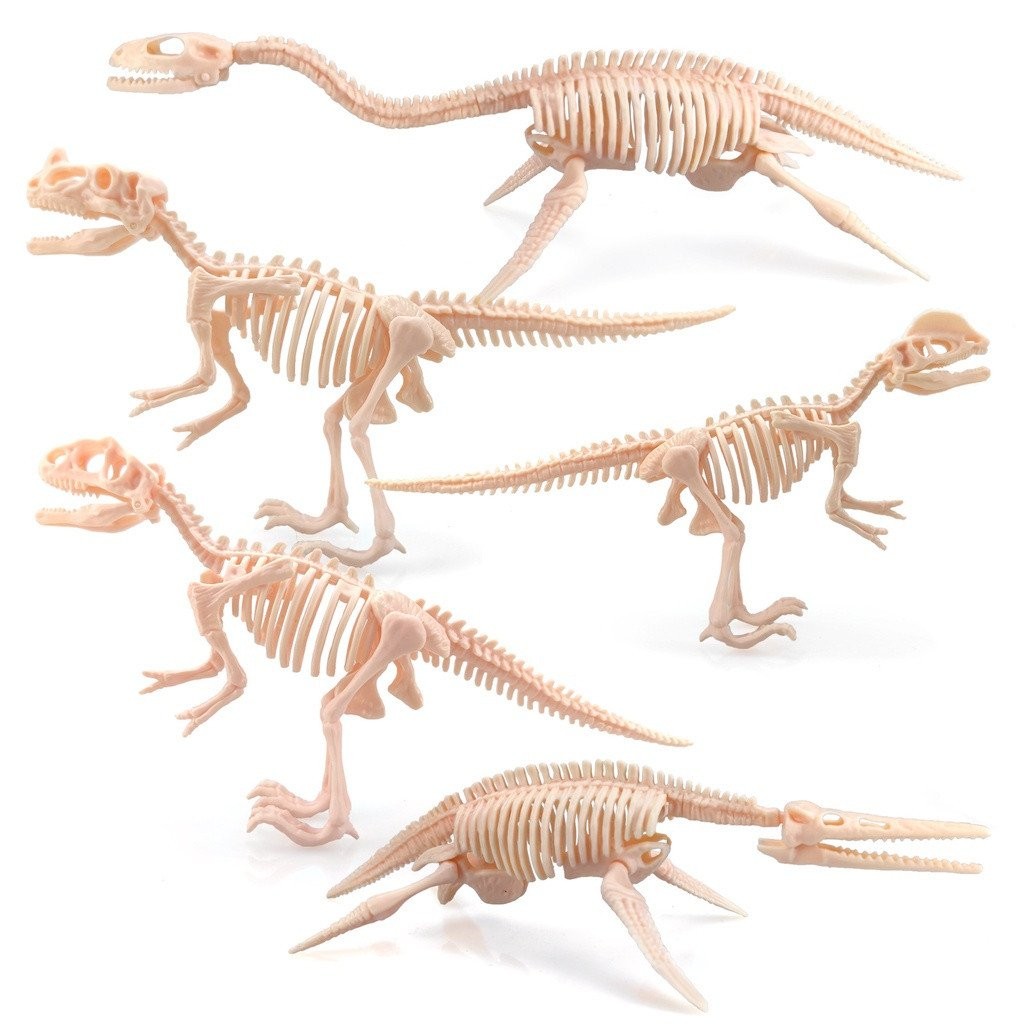 Orosaurus spine handmade dinosaur Double Skeleton ASSEMBLY Model for ...