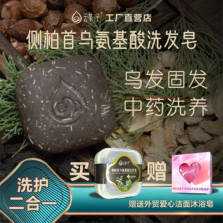 Spot Goods#Yuncha Seed Chinese Arborvitae Twig Polygonum Multiflorum ...