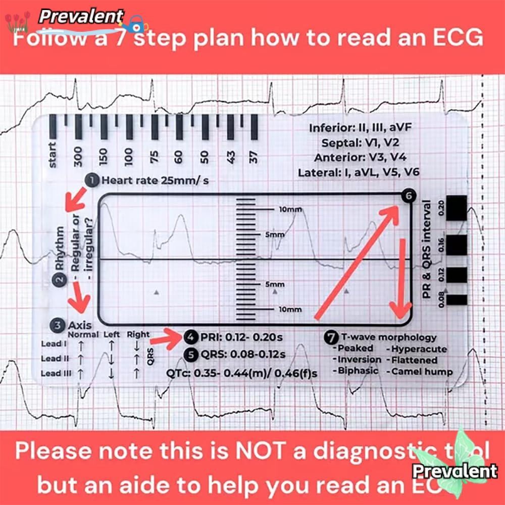คาลิปเปอร์ PREVA EKG, ไม้บรรทัด ECG/EKG ECG แบบพกพา 7 ขั้นตอน, เครื่องมือประเมินพลาสติกโปร่งใส ...