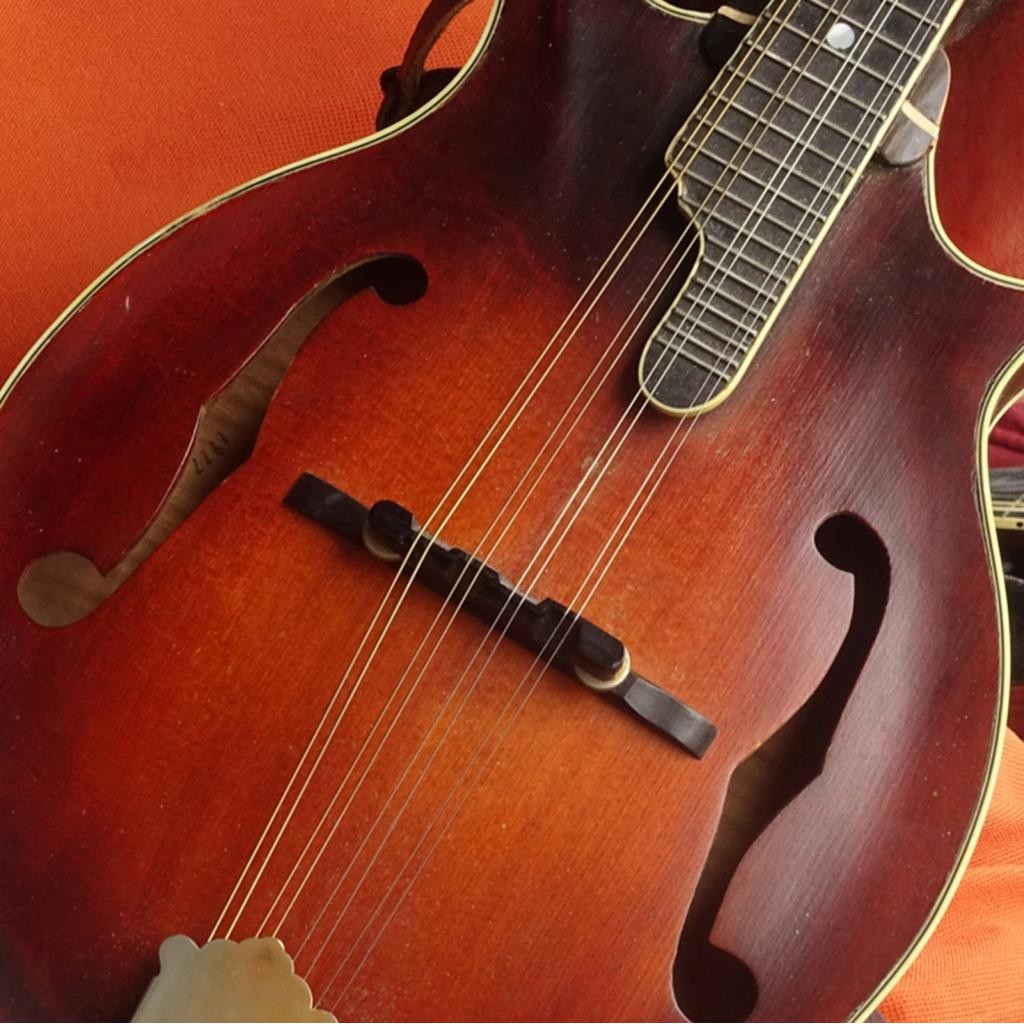 Mandolin Bridge Lightwood Rosewood สำหรับนักดนตรีบ้านร้านเปียโน ...