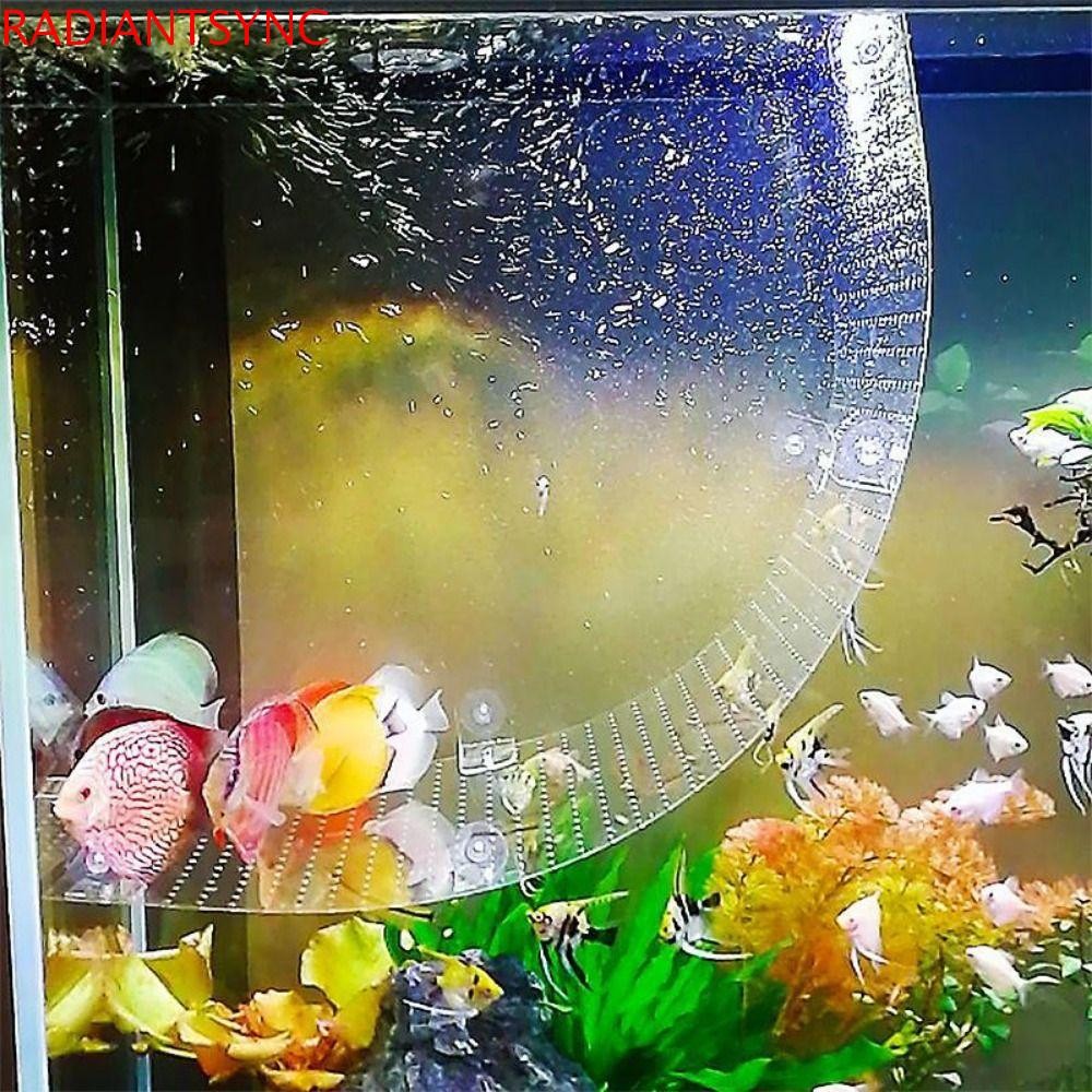 RADIANTSYNC ถังปลาแผ่นแยก,อะคริลิคโปร่งใสปลา Breeding Case Divider,ปฏิบัติ 3 มม.รู Cuttable ...