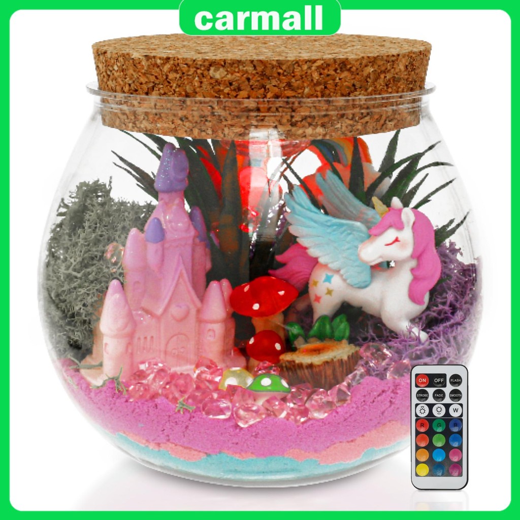 Led Night Light Terrarium ชุด Light up Terrarium ชุดสีสดใส DIY สวน ...