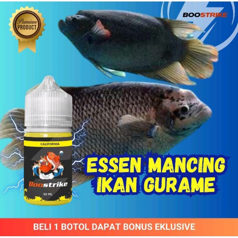 Super Fishy ปลาสลิดหอมที่เหนือกว่า Essen All Terrain เหมาะสําหรับเหยื่อ ...