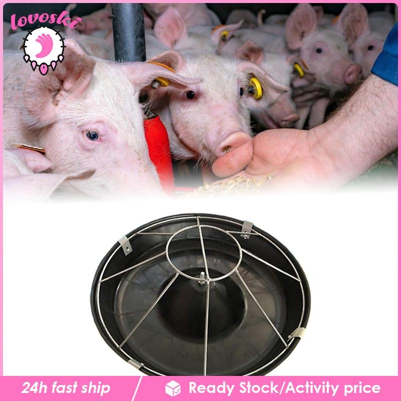 [Lovoski] Piglet Feeder Bucket Pig Farming Equipment จานหมูอาหาร Trough ...