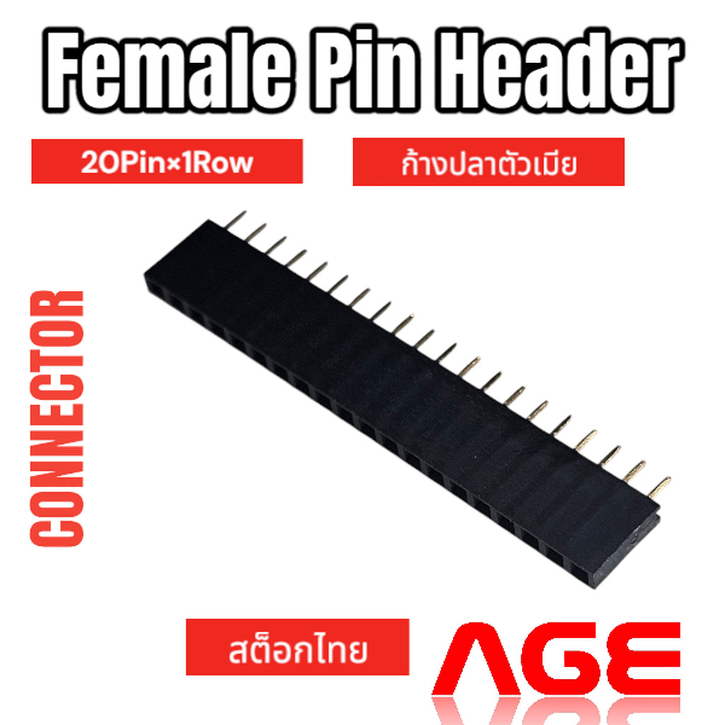 Female Pin Header Connector 20 Pin (20PinX1Row), Pitch 2.54mm Female ...