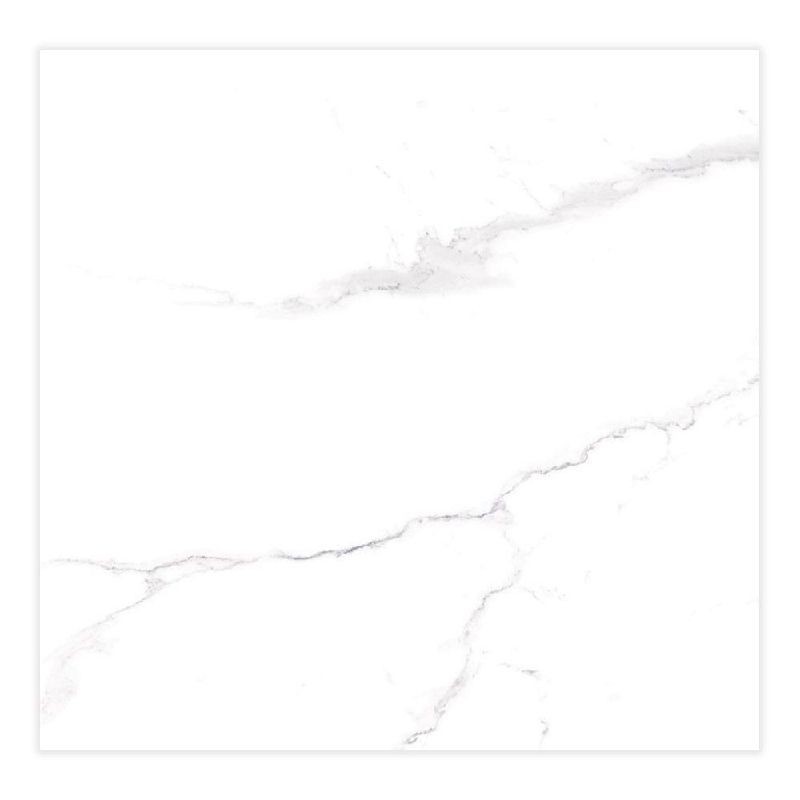 BOONPLUS กระเบื้อง DUBLIN WH M.(QP8320GMB6060) 60X60 CM | Shopee Thailand