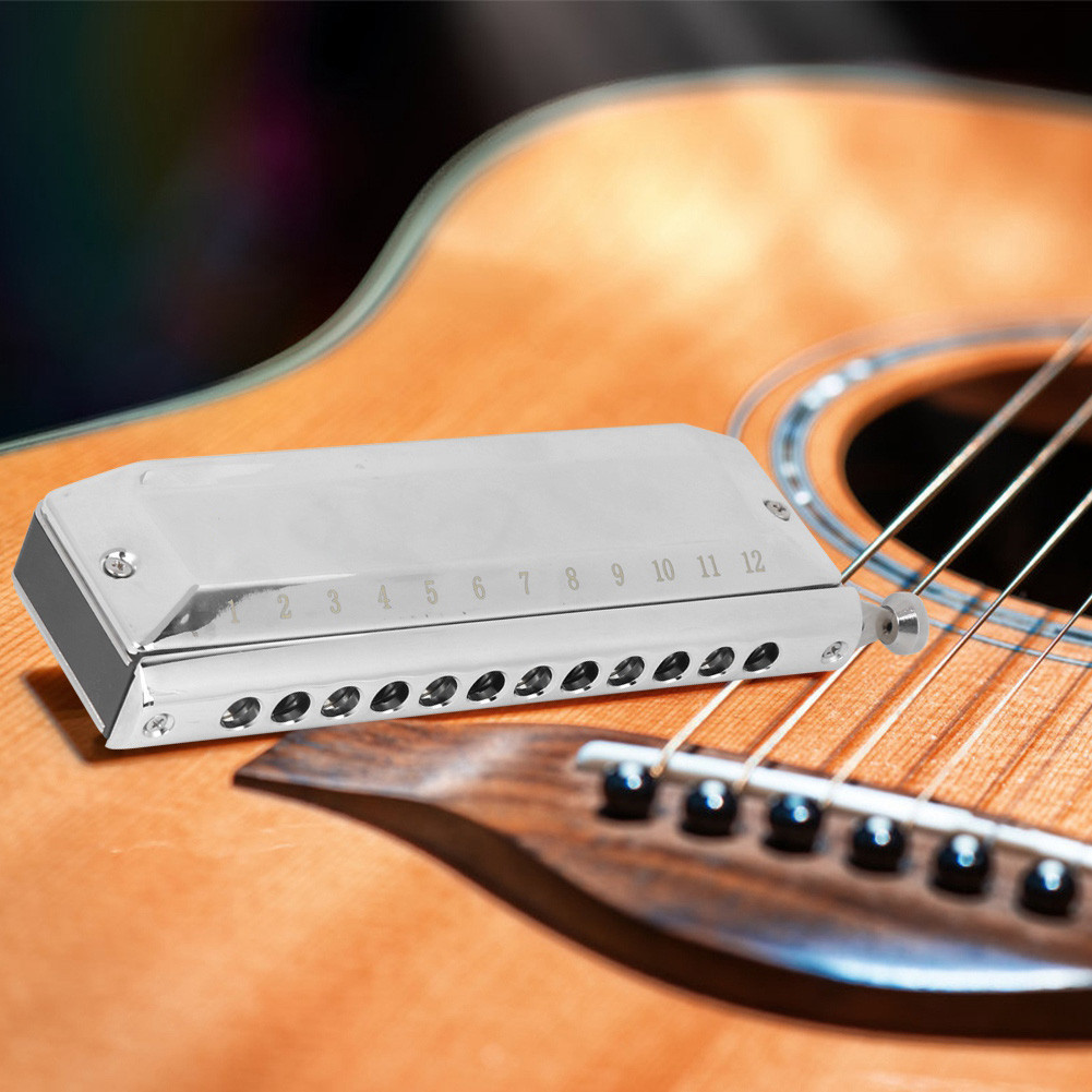 ออร์แกนสีออร์แกนคีย์ 48 โทนสแตนเลสปากเครื่องดนตรีเครื่องดนตรีสำหรับ ...