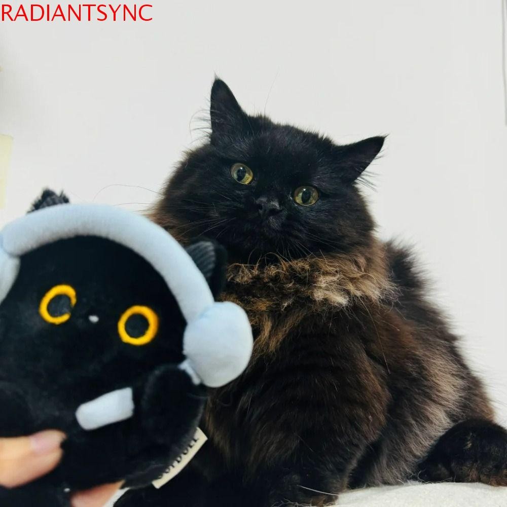 Radiantsync Knight Cat Plush หูฟังกระเป๋า, Silly แบบพกพา Black Cat หูฟังกระเป๋า, หูฟังถุงเก็บ ...