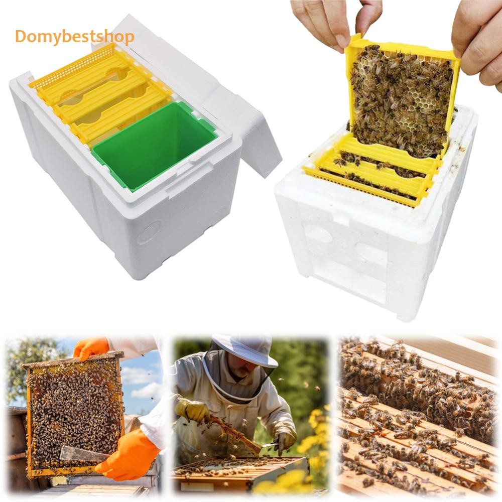 Queen Bee Rearing Mating Beehive เครื่องมือการเลี้ยงผึ้งโฟม Home Bee ...