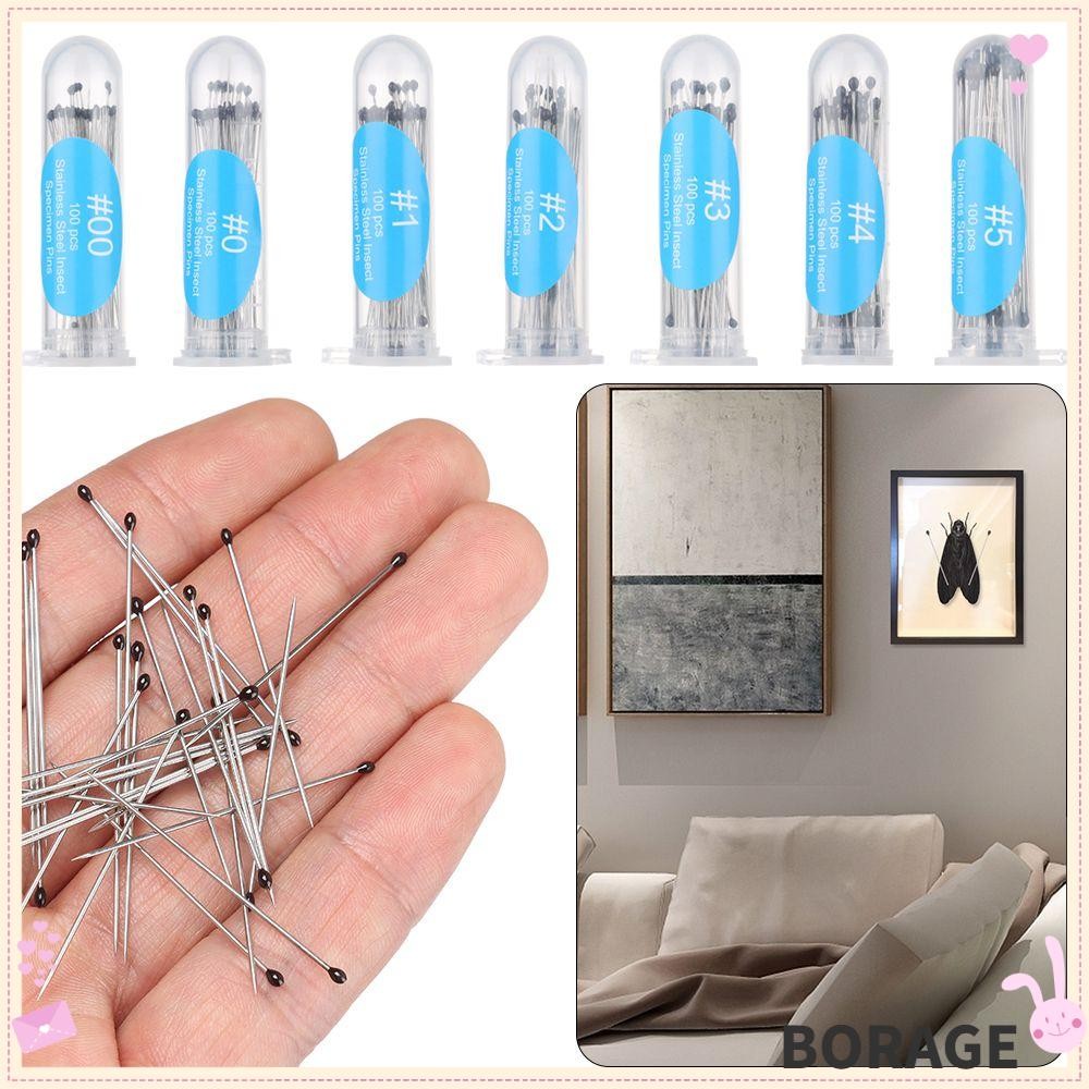 BORAG 100 ชิ้นเข็ม Sharp Tip Lab อุปกรณ์เสริม Entomology แมลงแยกชิ้นส่วนอุปกรณ์ | Shopee Thailand