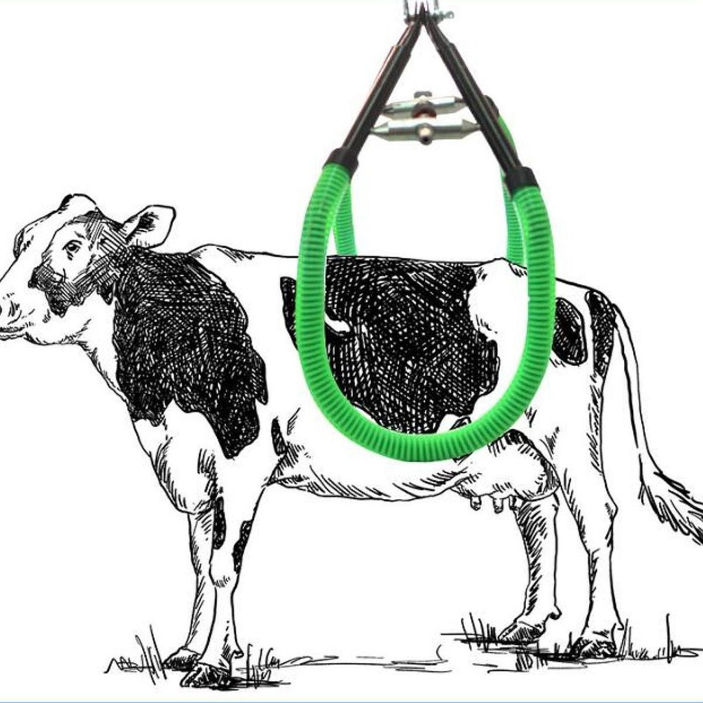[gedonna] Cow Hip Lift Adjustable Clamp Cow Hip Lift Clamp 1500kg ความ ...