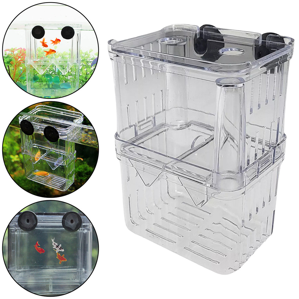 BrighthorFish Aquariums Breeder Box ทนทาน Betta Fish Tank Breeding ...