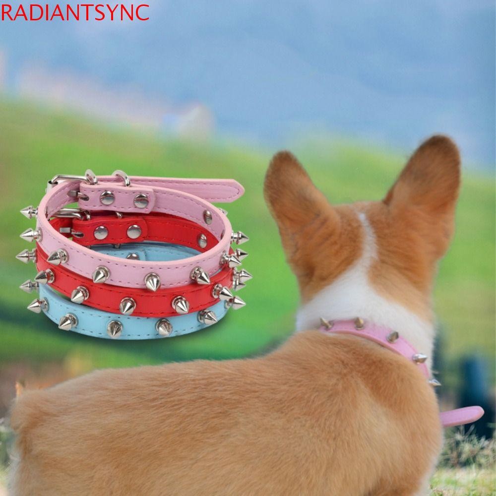 Radiantsync ปลอกคอสุนัขแมว, หนัง Cool Pet Spiked Studded Collars, ผลิตภัณฑ์สําหรับสัตว์เลี้ยง ...