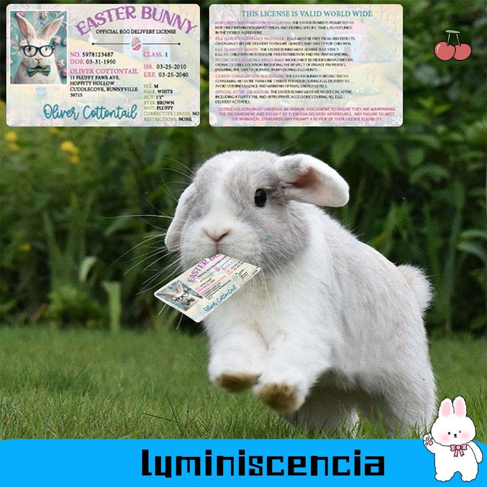 LUMINESCIA การ์ดกระต่ายอีสเตอร์, กระต่ายพลาสติก Lost Drivers License ...