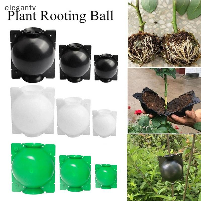 EGN Plant Rooting แรงดันสูง Propagation Ball กล่องแรงดันสูง Garden ...