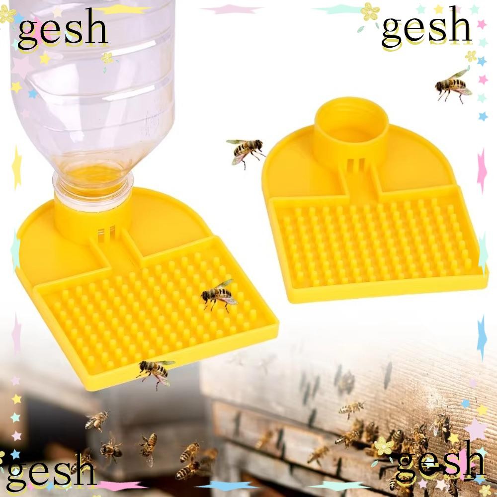 Gesh1 Bee Feeder อะแดปเตอร์,พลาสติก Beehive Feeding ภายใน Bees Water ...