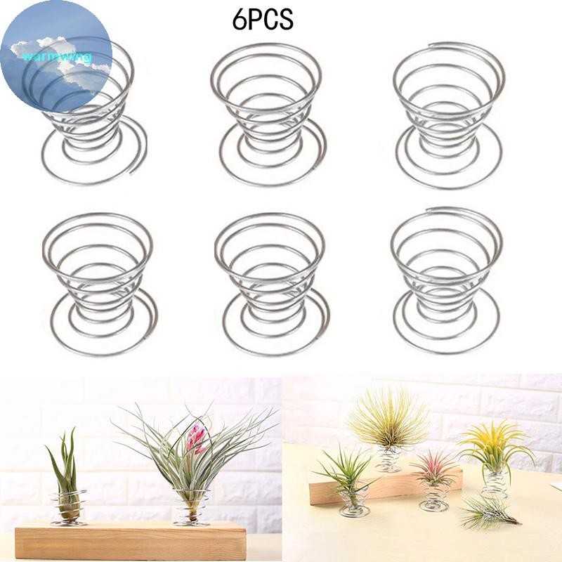 Warmwing 6 ชิ้นกระถางดอกไม้สแตนเลส Air Plant Stand คอนเทนเนอร์ Tillandsia ผู้ถือ TH | Shopee ...
