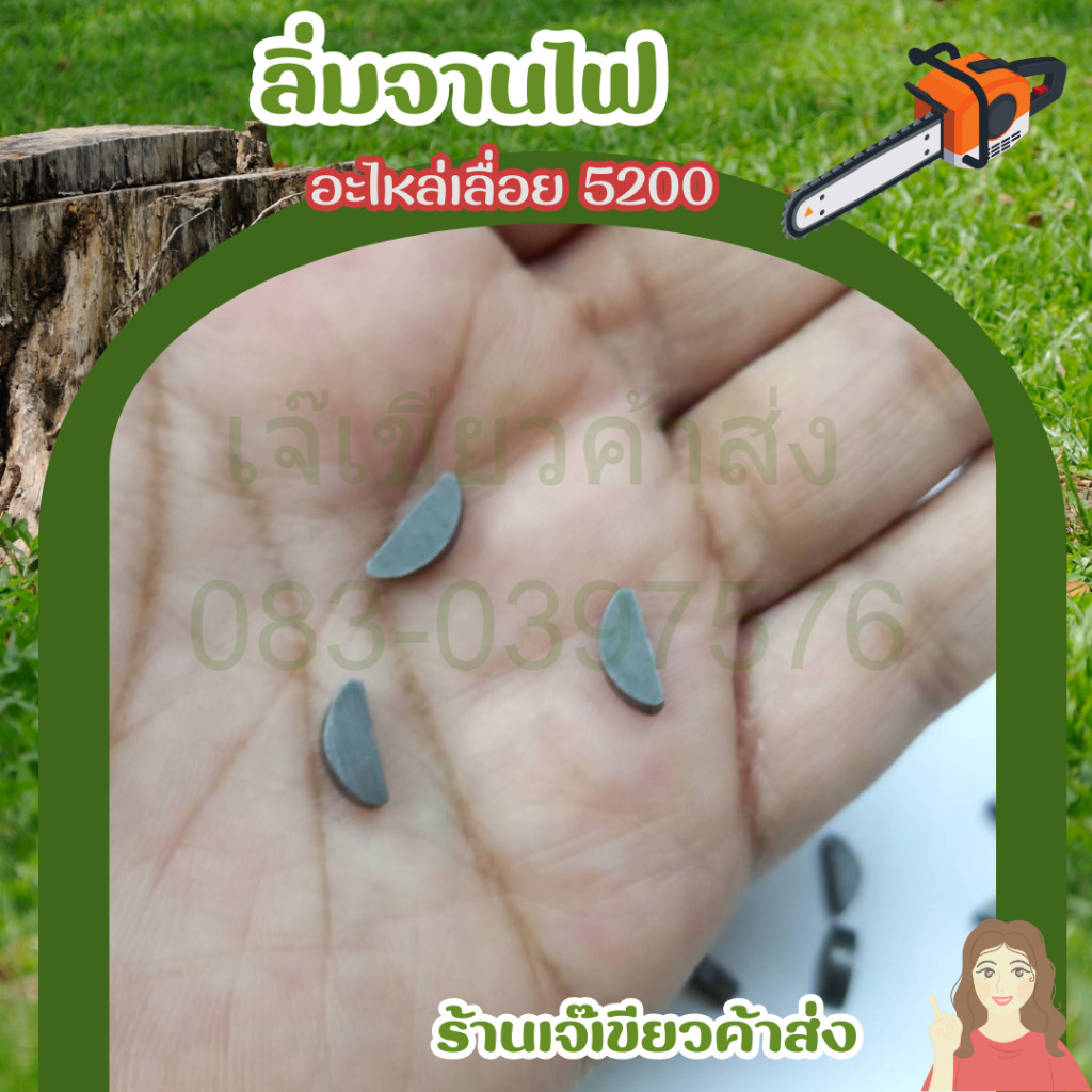 ลิ่มจานไฟ ลิ่มโมเล่ ลิ่ม ตัวล็อกจานไฟ สำหรับเครื่องเลื่อยยนต์ รุ่น 3800 4500 5200 5800 | Shopee ...