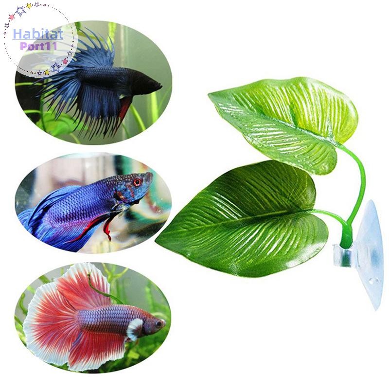Habitatport Betta Fish Rest Aquarium Leaf พืชตกแต่ง Spaw ไม้ประดับ ...