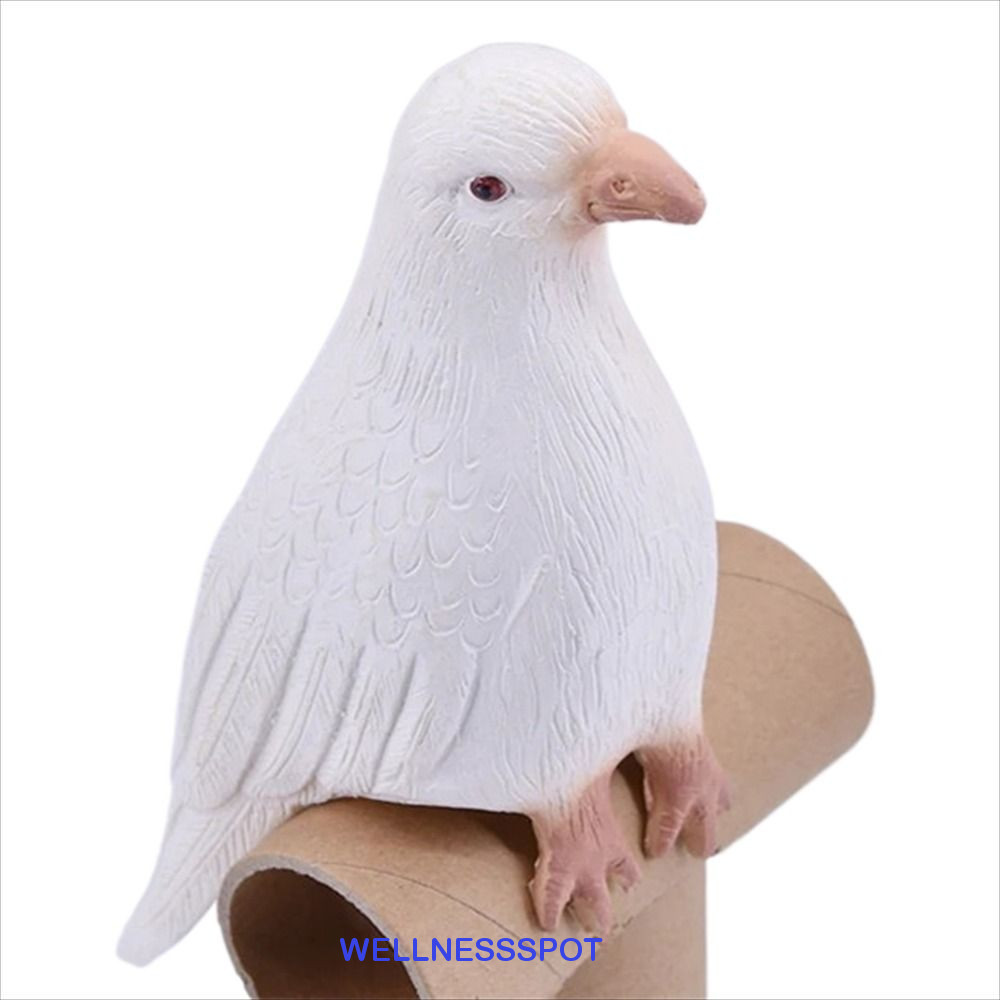 WELLNESSSPOT Vanishing Dove, เลียนแบบ Pigeon Appearing Dove Magic ...