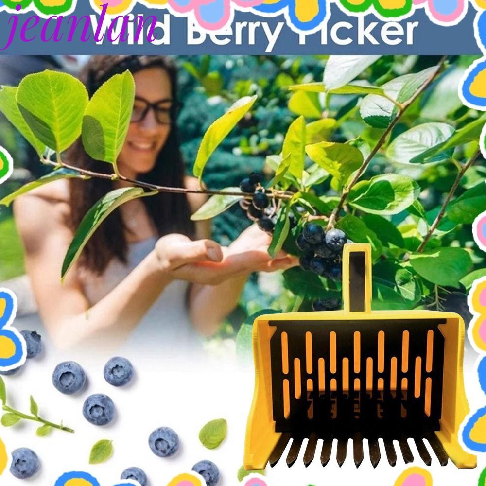 JEANLAN Berry Picker, Blueberry Easier Berry Picking Blueberry Picker ...