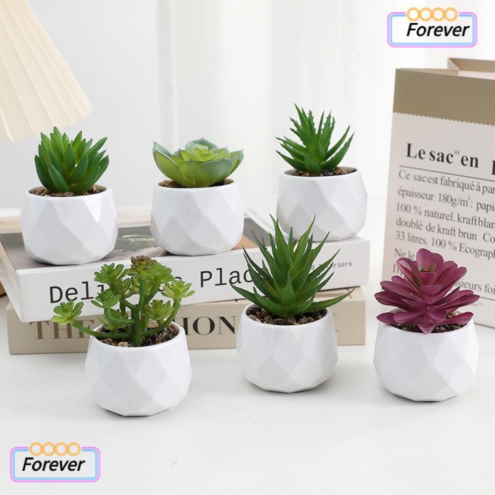 Forever Succulents บอนไซ, กระบองเพชร เอเวอร์กรีนประดิษฐ์ Succulent ...