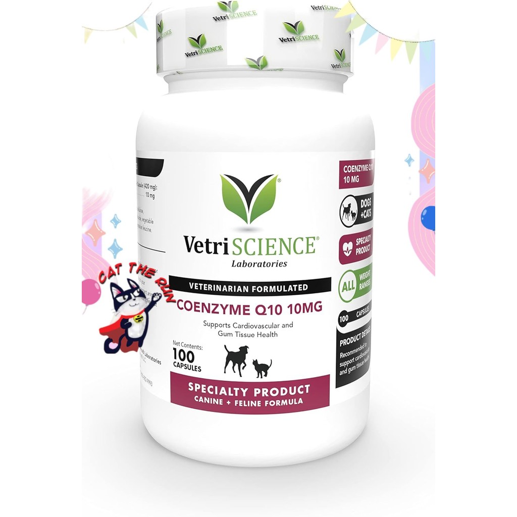 Q10 Coenzyme 10 MG 100 เม็ด บำรุง หัวใจ ผิดปกติสุนัข หมา แมว วิตามิน ...