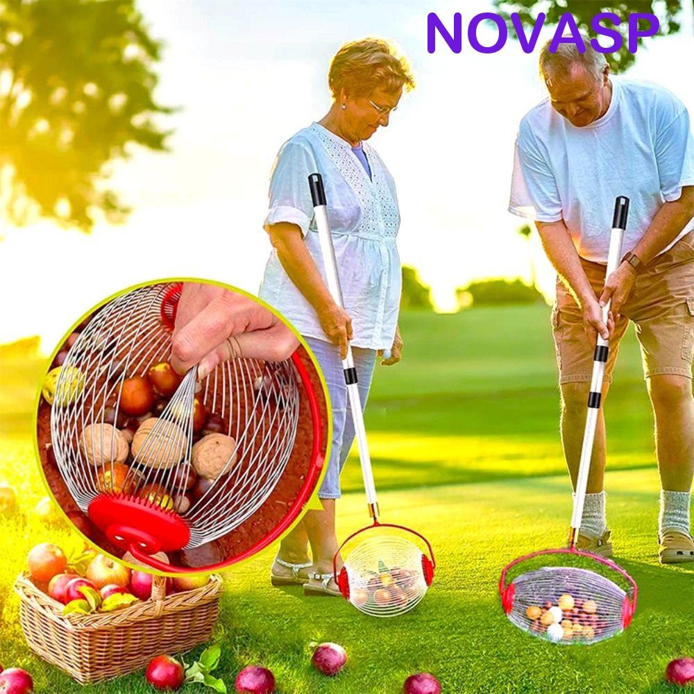 NOVASP Ball Collector Quick Multifunctional Hestnut Pecan Nut Gatherer ...