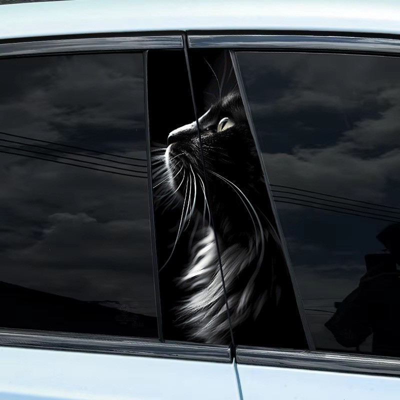 Car Center Column Stickers Car Door Column Stickers B Column HD ...