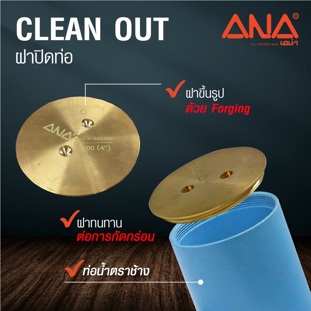 GlobalHouse ANA ชุดฝาส้วม clean out+ท่อ PVC รุ่น Clean Out ขนาด 4 นิ้ว ...