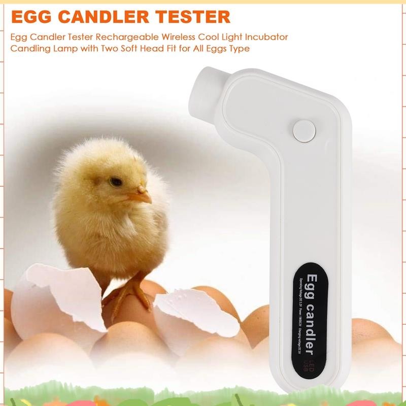 Super Egg Candler Tester ชาร์จไร้สาย Cool Light Incubator โคมไฟ ...