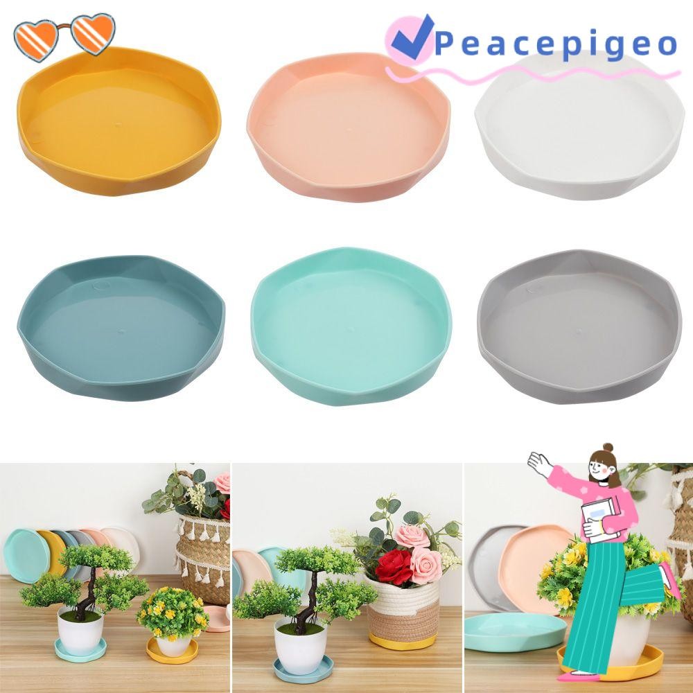 PEACEPIGEO 1 ชิ้นถาดหยดกระถางดอกไม้พลาสติกจานรองถาดพลาสติกหนา | Shopee Thailand
